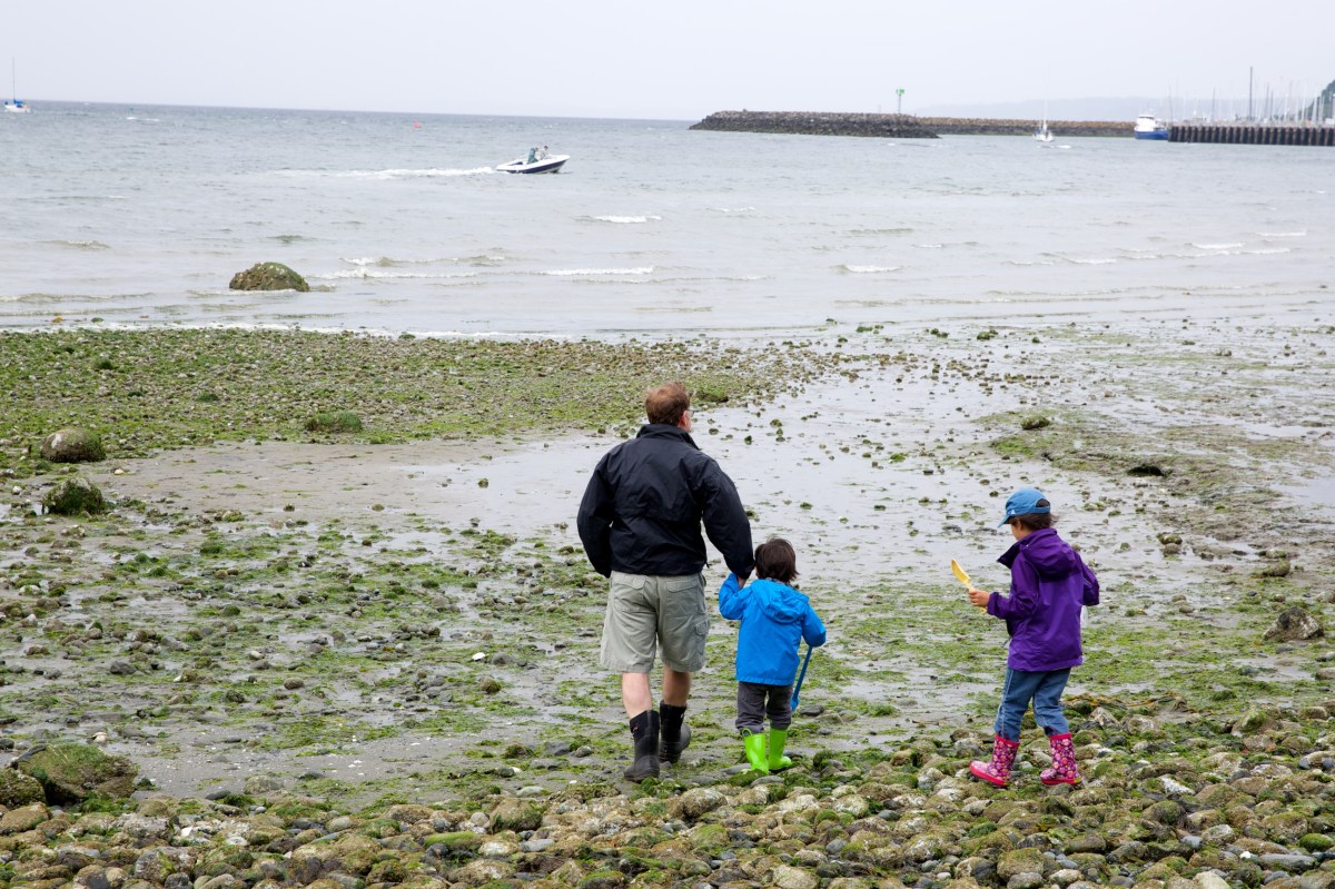Father’s Day 2014 Beachcombing | SmartUp Kids
